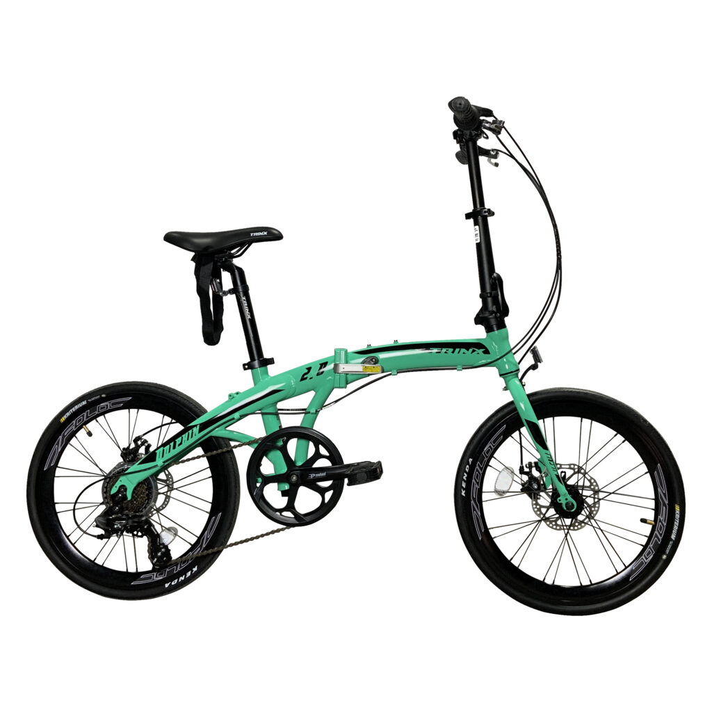 Dolphin 2.0 – Trinx