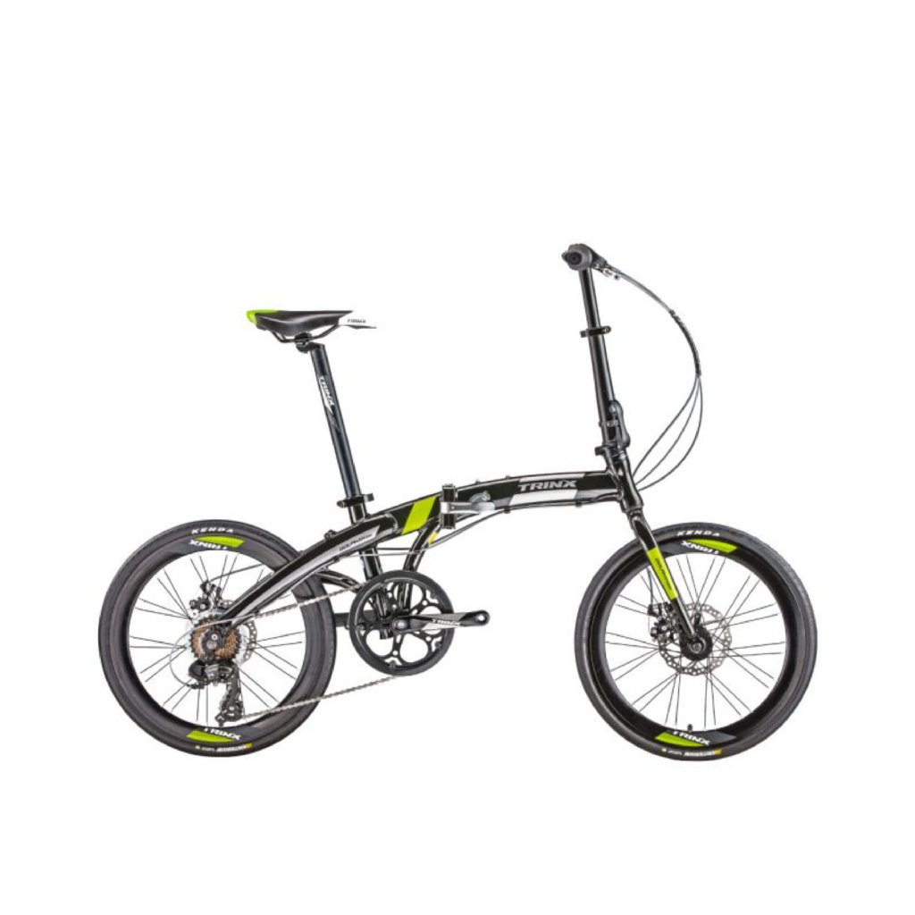 Dolphin 2.0 – Trinx